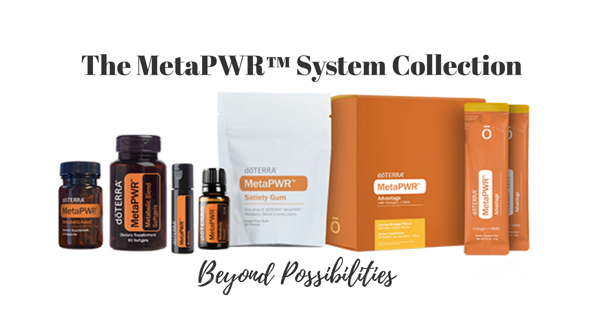 MetaPWR™ System – Beyond Possibilities
