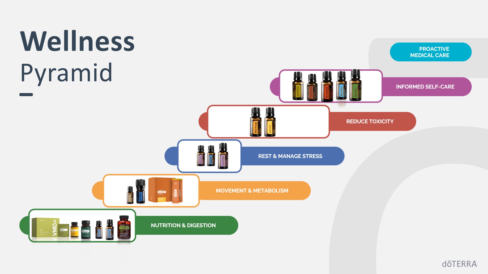 Foundational Wellness – Immune Support – Beyond Possibilities